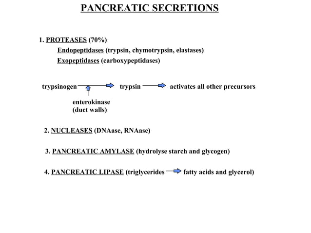 Pancreas anatomy and functions | PPT | Endocrine and Metabolic Diseases ...