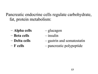 Pancreas anatomy and functions | PPT