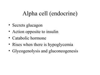 Pancreas anatomy and functions | PPT
