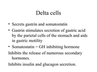 Pancreas anatomy and functions | PPT