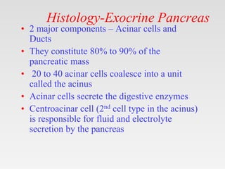 Pancreas anatomy,physiology,investigations.pptx