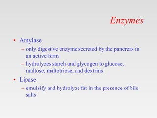 Pancreas anatomy,physiology,investigations.pptx