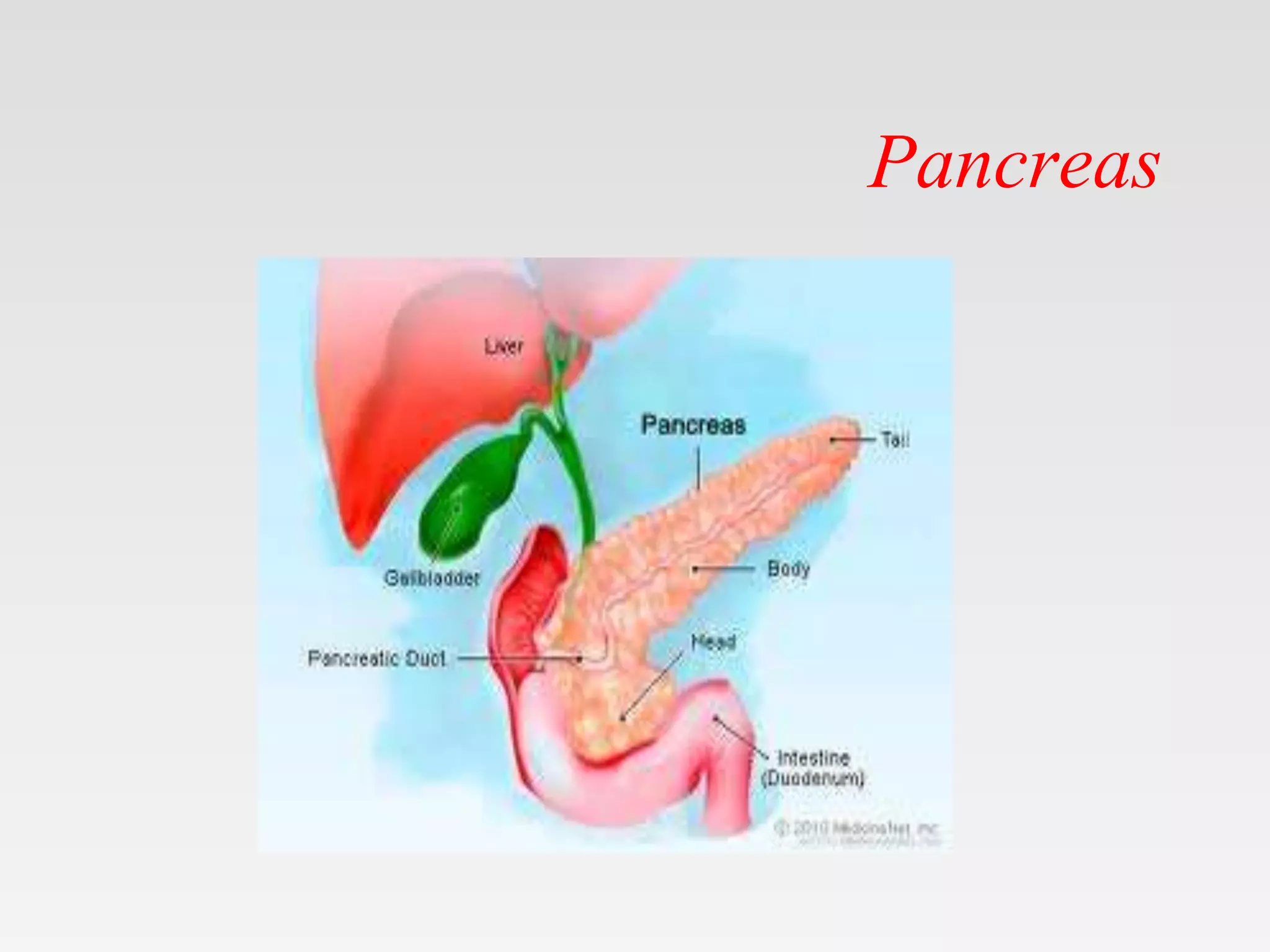 PANCREAS ANAT,PHY,CONG.ANAMOLIES.pptx