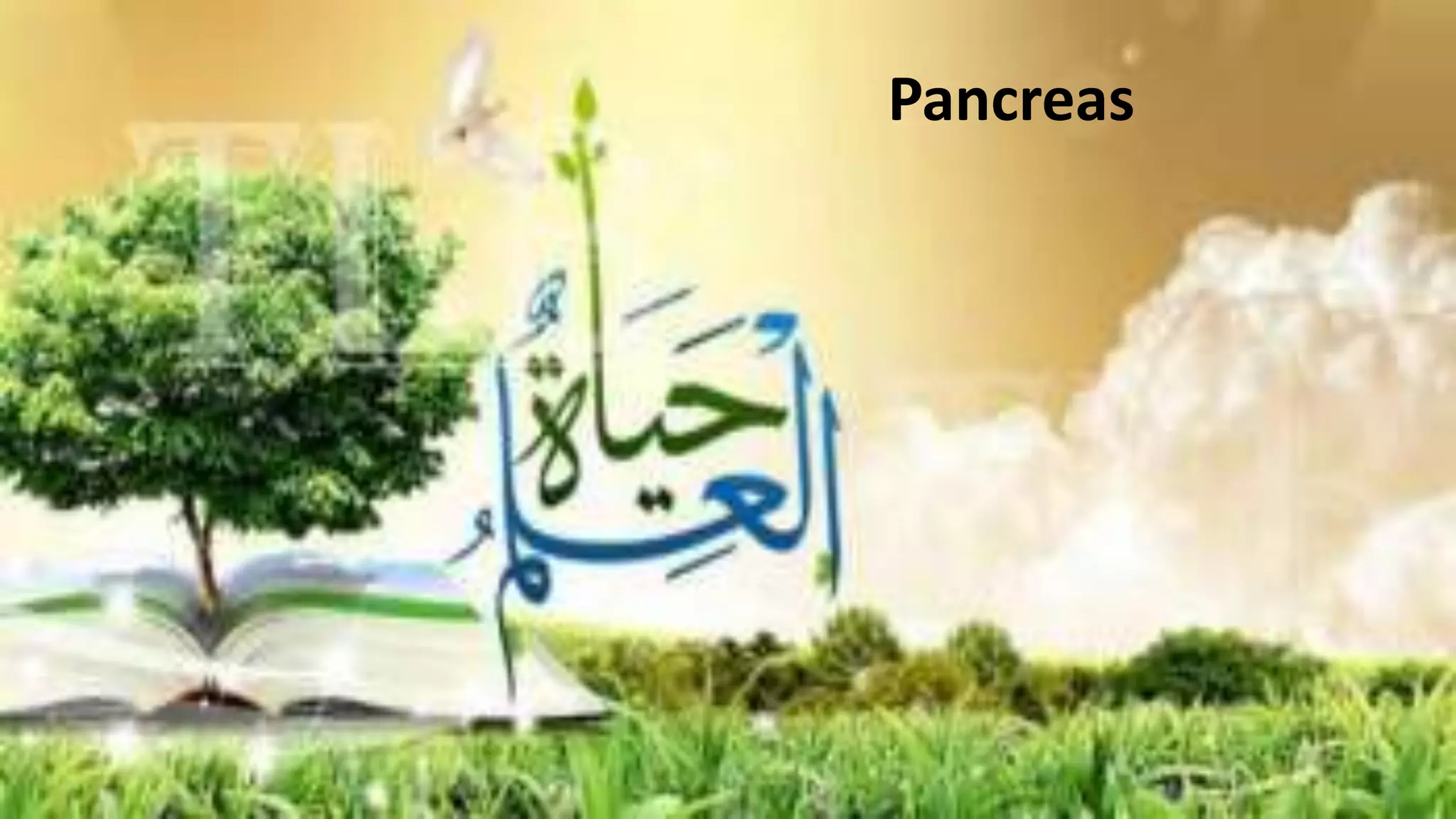 Pancreas and spleen dr aya.pptx