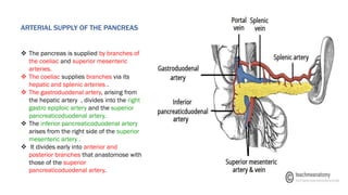Pancreas and spleen dr aya.pdf
