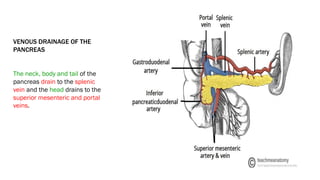 Pancreas and spleen dr aya.pdf