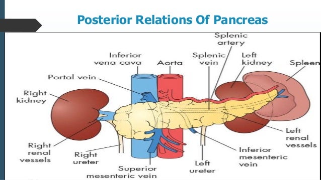 Cancer of Pancreas