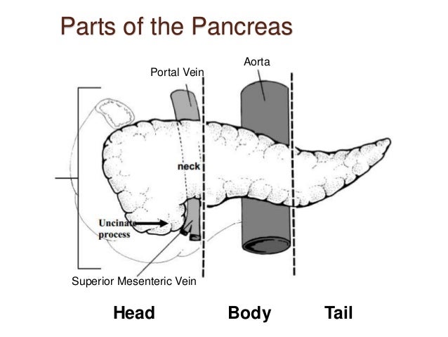 Pancreas Cancer