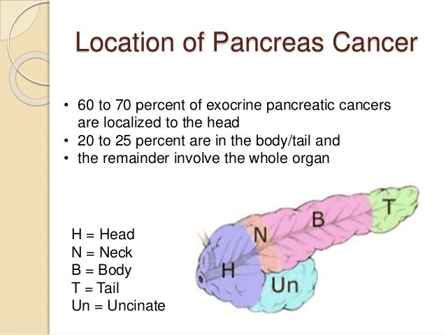 Pancreas Cancer