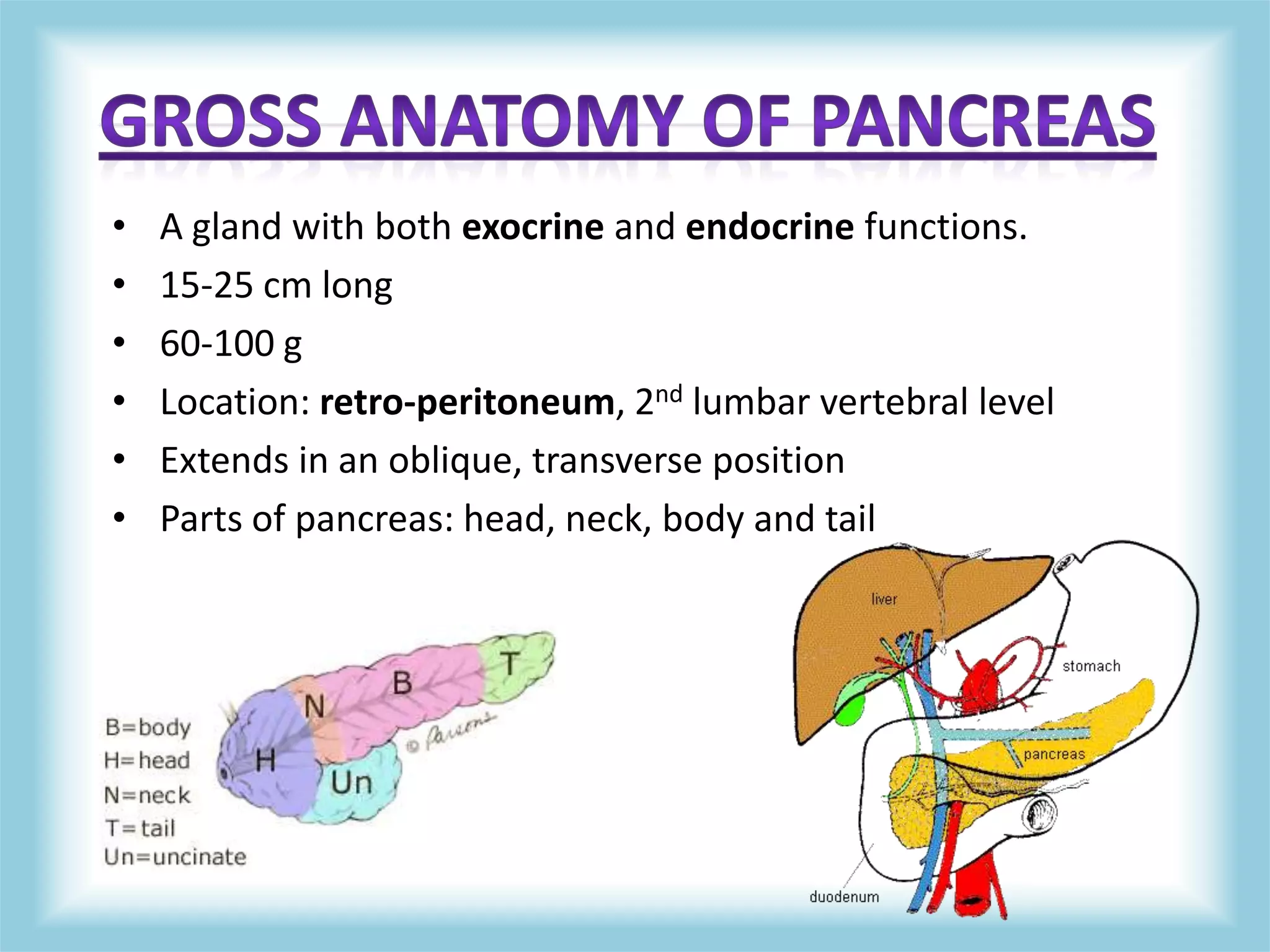 Pancreas Congenital Anomalies (agenesis, pancreas divisum, annular ...