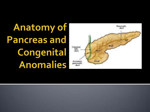 Pancreas Congenital Anomalies (agenesis, pancreas divisum, annular ...