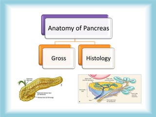 Pancreas Congenital Anomalies (agenesis, pancreas divisum, annular ...