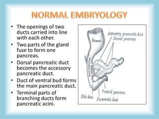 Annular Pancreas Embryology
