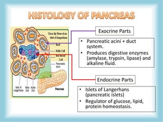Pancreas Congenital Anomalies (agenesis, pancreas divisum, annular ...