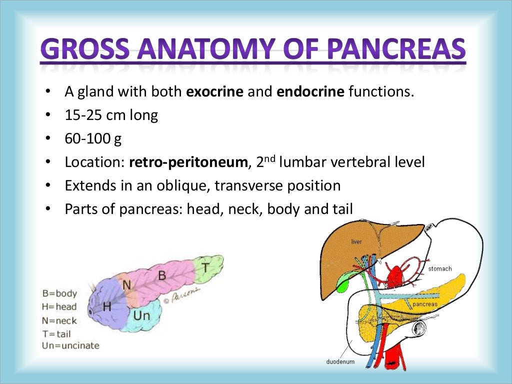 Pancreas Congenital Anomalies (agenesis, pancreas divisum, annular pa…