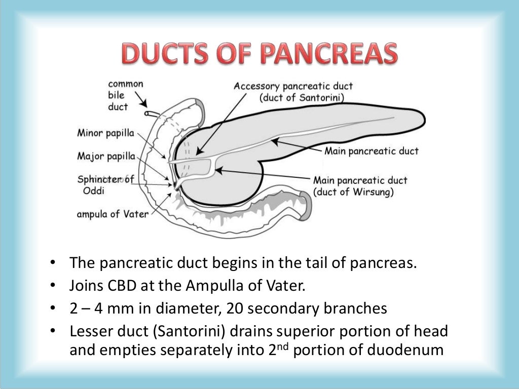 Pancreas Congenital Anomalies (agenesis, pancreas divisum, annular pa…