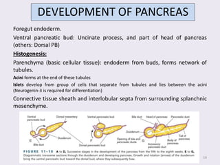 Pancreas cytology | PPTX