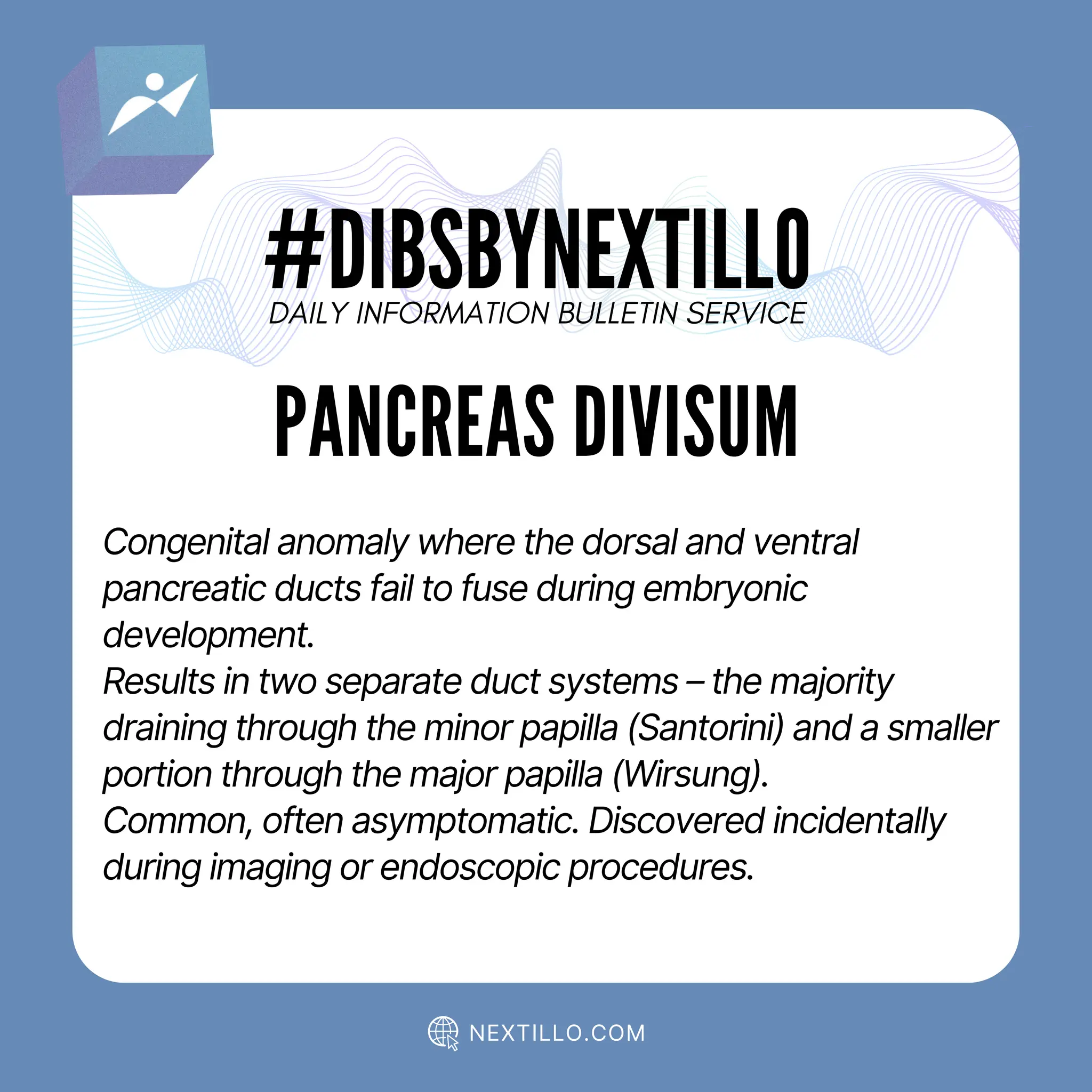 Pancreas Divisum: High-Yield Insights for FMGE | DIBS by Nextillo | PDF