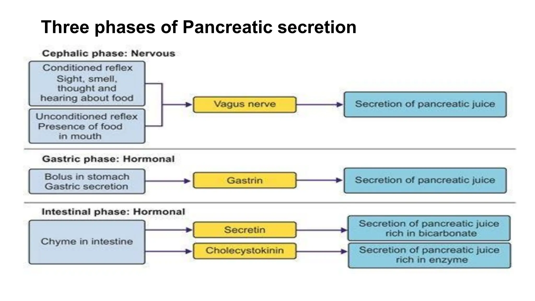 Pancreatic juice and functions PPT asha... | PDF