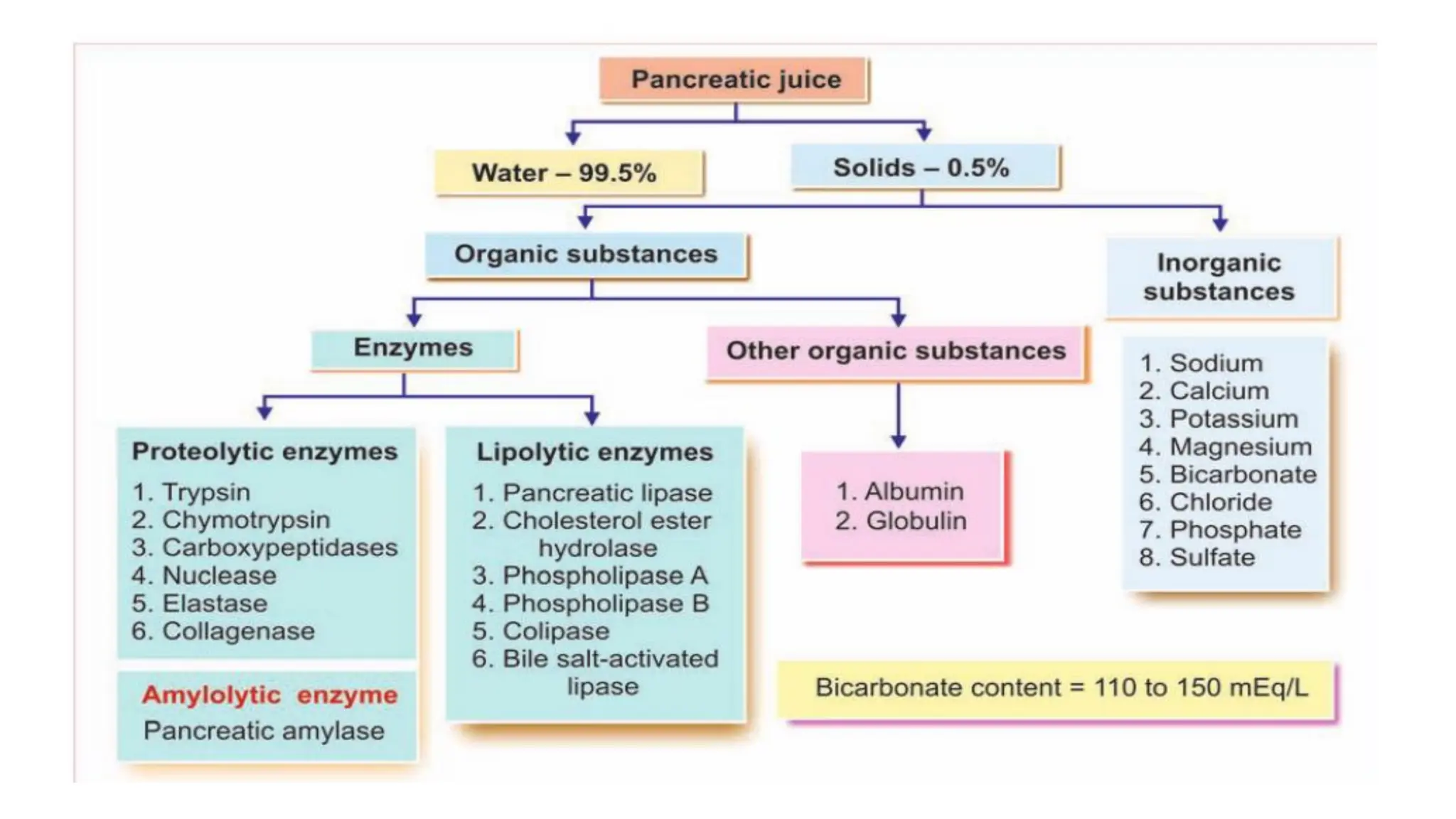Pancreatic juice and functions PPT asha... | PDF