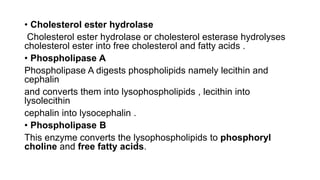 Pancreatic juice and functions PPT asha... | PDF