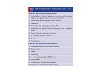 endocrine pancreas, insulin, glucagon.pptx