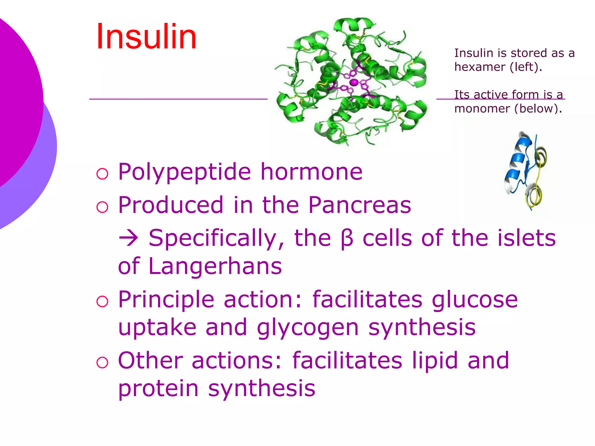 PANCREASE PHYSIOLOGY.pdf