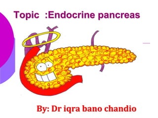 PANCREASE PHYSIOLOGY.pdf | Endocrine and Metabolic Diseases | Diseases and Conditions