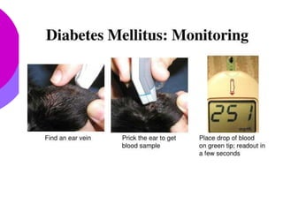 PANCREASE PHYSIOLOGY.pdf | Endocrine and Metabolic Diseases | Diseases and Conditions