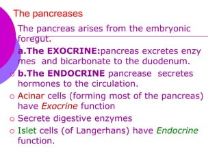 PANCREASE PHYSIOLOGY.pdf | Endocrine and Metabolic Diseases | Diseases ...