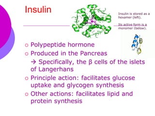 PANCREASE PHYSIOLOGY.pdf | Endocrine and Metabolic Diseases | Diseases ...