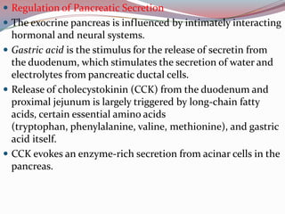 Pancreas function | PPTX