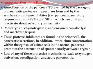 Pancreas function | PPTX