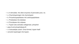 Pancreas_functional anatomy_enzymes.pptx