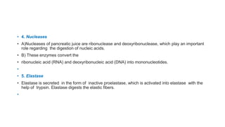 Pancreas_functional anatomy_enzymes.pptx