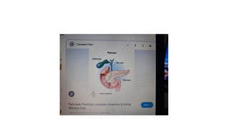 Pancreas_functional anatomy_enzymes.pptx