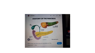 Pancreas_functional anatomy_enzymes.pptx