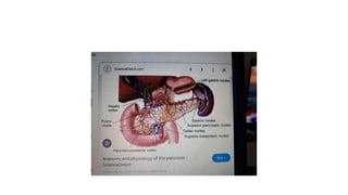 Pancreas_functional anatomy_enzymes.pptx