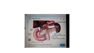Pancreas_functional anatomy_enzymes.pptx