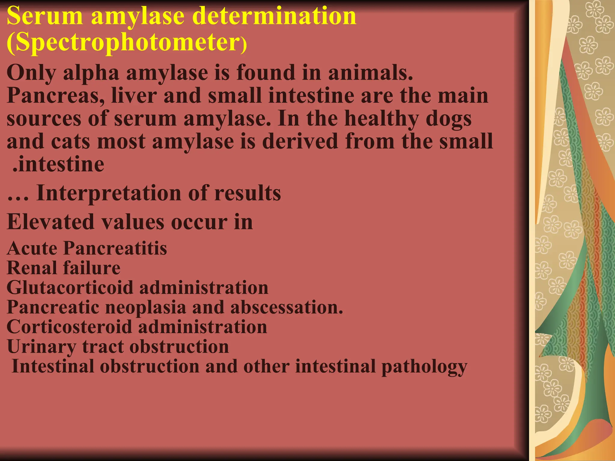 Pancreas function tests.bsc biochemistry ppdffff. | PPT