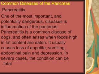 Pancreas function tests.bsc biochemistry ppdffff. | PPT