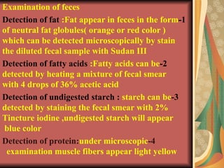 Pancreas function tests.bsc biochemistry ppdffff. | PPT