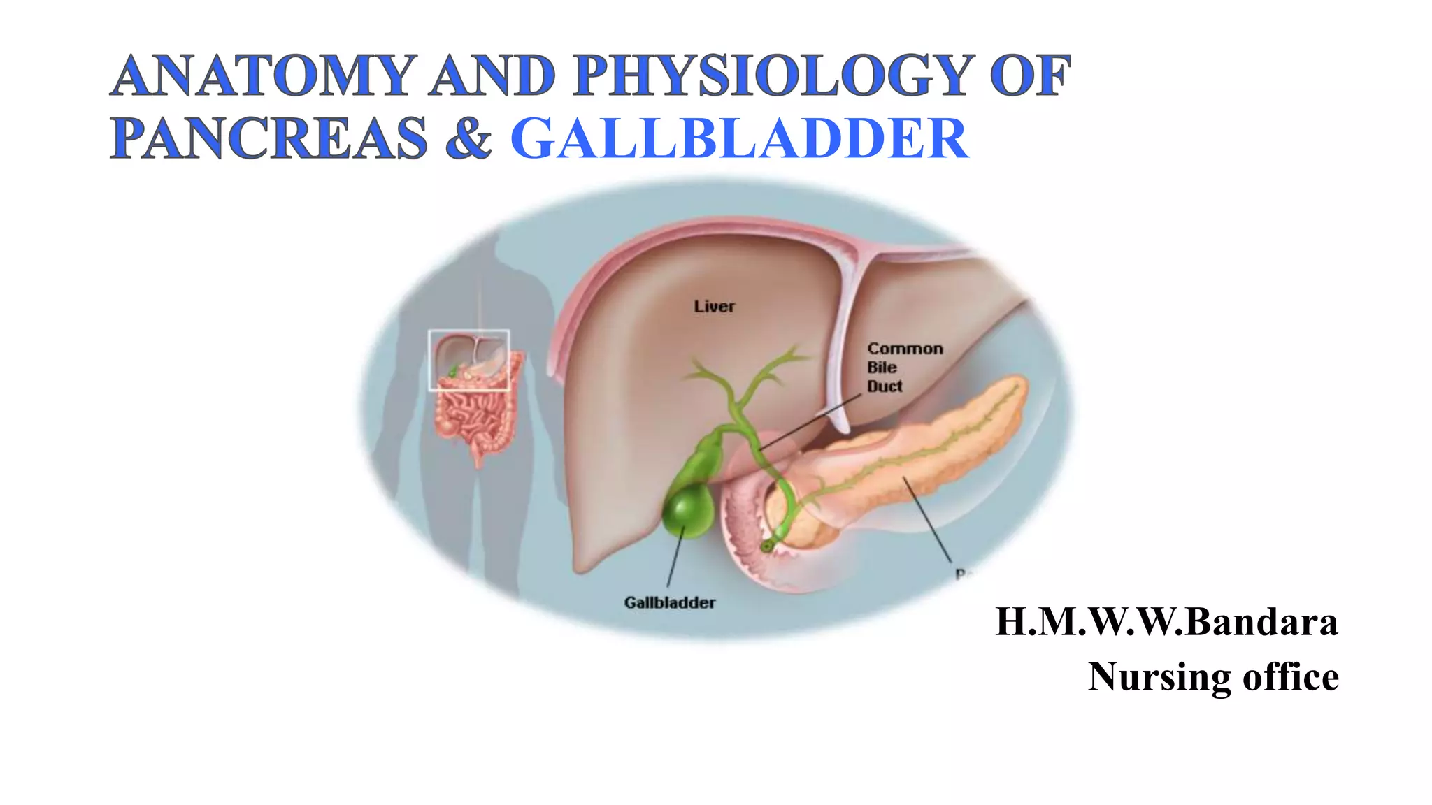 Anatomy & Physiology of Pancreas gallbladder | PPTX