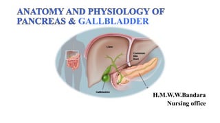 Anatomy & Physiology of Pancreas gallbladder | PPTX