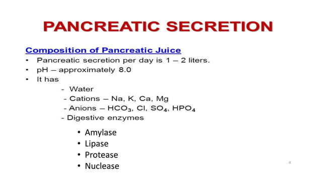 Anatomy & Physiology of Pancreas gallbladder | PPTX