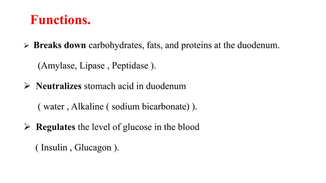 Anatomy & Physiology of Pancreas gallbladder | PPTX