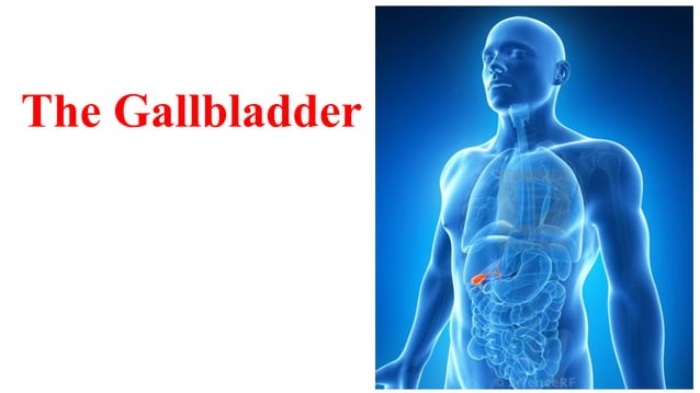 Anatomy & Physiology of Pancreas gallbladder | PPTX