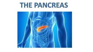 Anatomy & Physiology of Pancreas gallbladder | PPTX