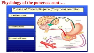 Anatomy & Physiology of Pancreas gallbladder | PPT