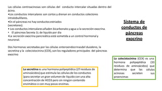 tema: páncreas (histología II) libro ross | PPTX